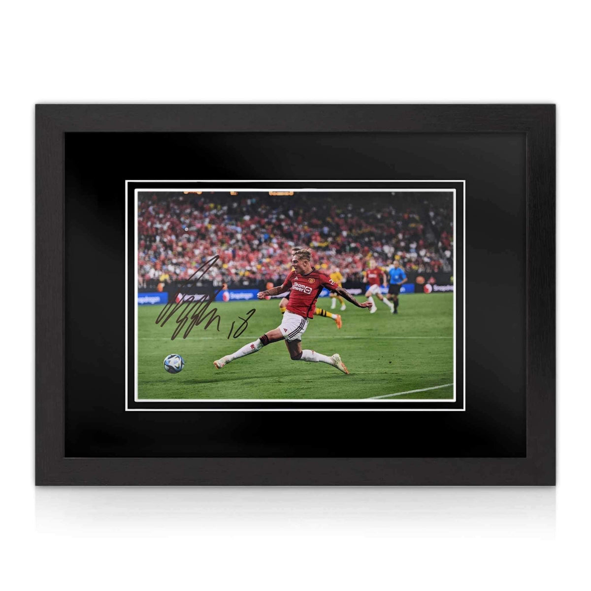Brandon Williams Signed A4 Photo – The Collectors Corner